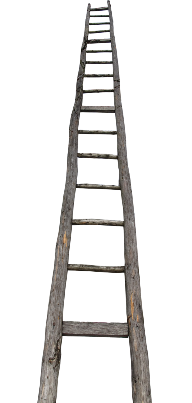 Words: Concreteness, Precision, Jargon, Tone | Technical Writing