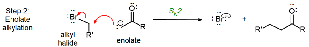 9.7. Enolate alkylation | Organic Chemistry 1: An open textbook