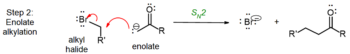 9.7. Enolate alkylation | Organic Chemistry 1: An open textbook